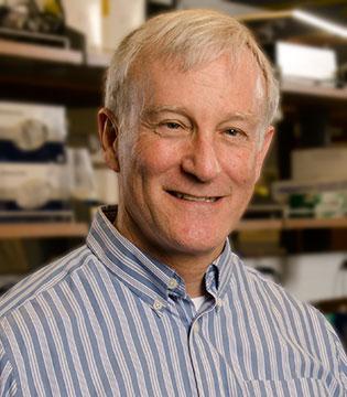 Robert O. Messing, M.D. | Waggoner Center for Alcohol & Addiction Research